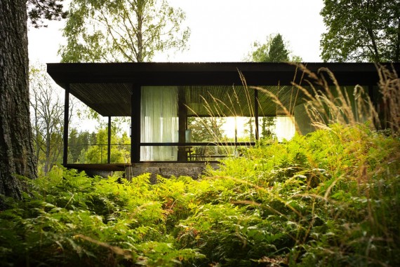 Кимбер Рид (Kimber Reed). Эко-кабина: лес вокруг, космос внутри | Д.Журнал